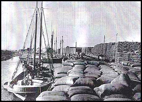 TOs down Yorke Peninsula.